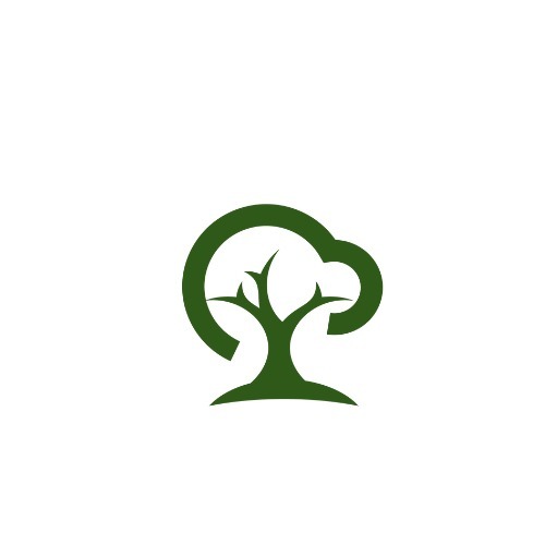 Bamboo Bazar | Jeevee